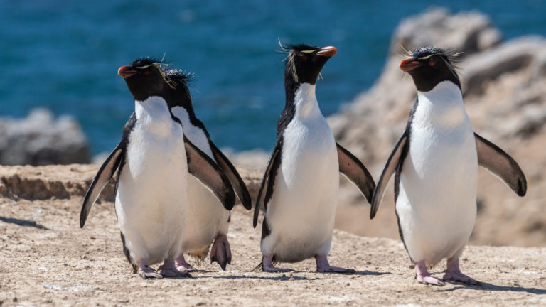 How to Practice Responsible Tourism - Rock a Little Travel