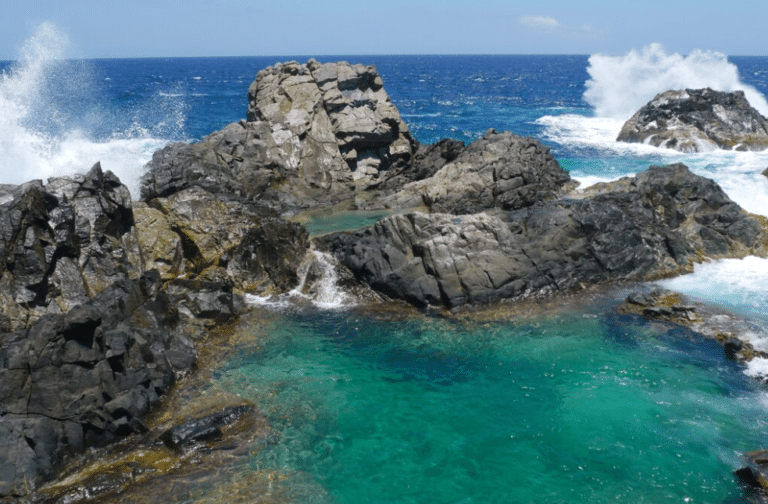 Top 16 Must-Have Aruba Experiences - Rock a Little Travel