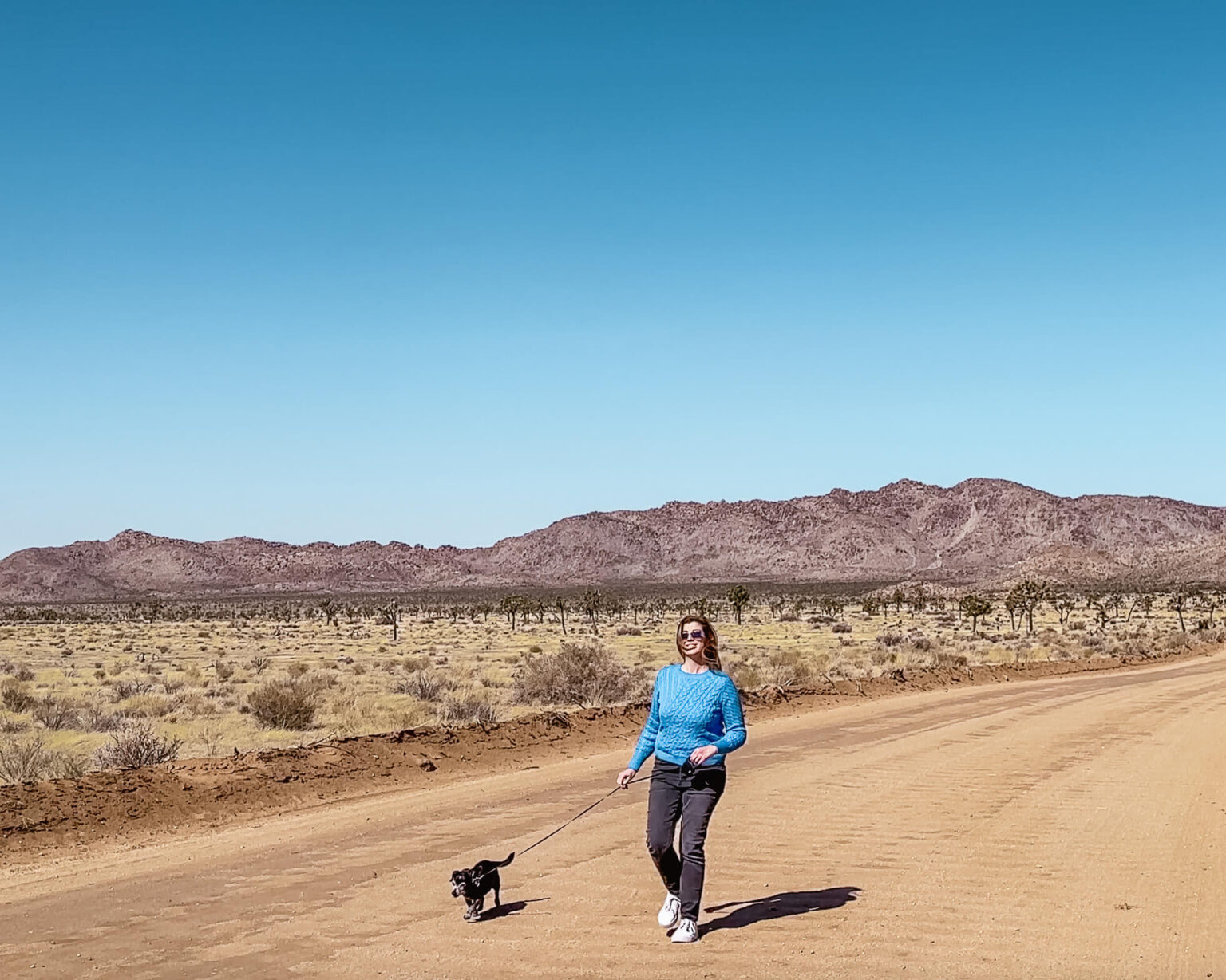 Joshua Tree Itinerary - Rock a Little Travel