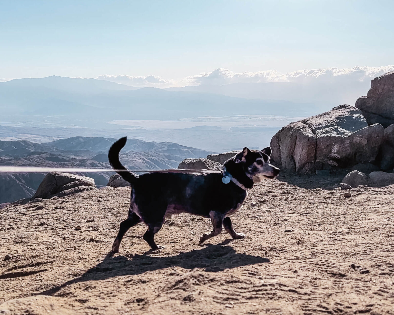 Joshua Tree Itinerary - Rock a Little Travel