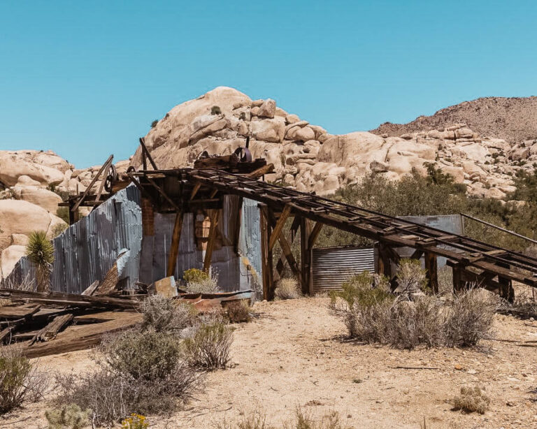 Joshua Tree Itinerary - Rock a Little Travel