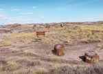Things to do in Petrified Forest National Park - Rock a Little Travel