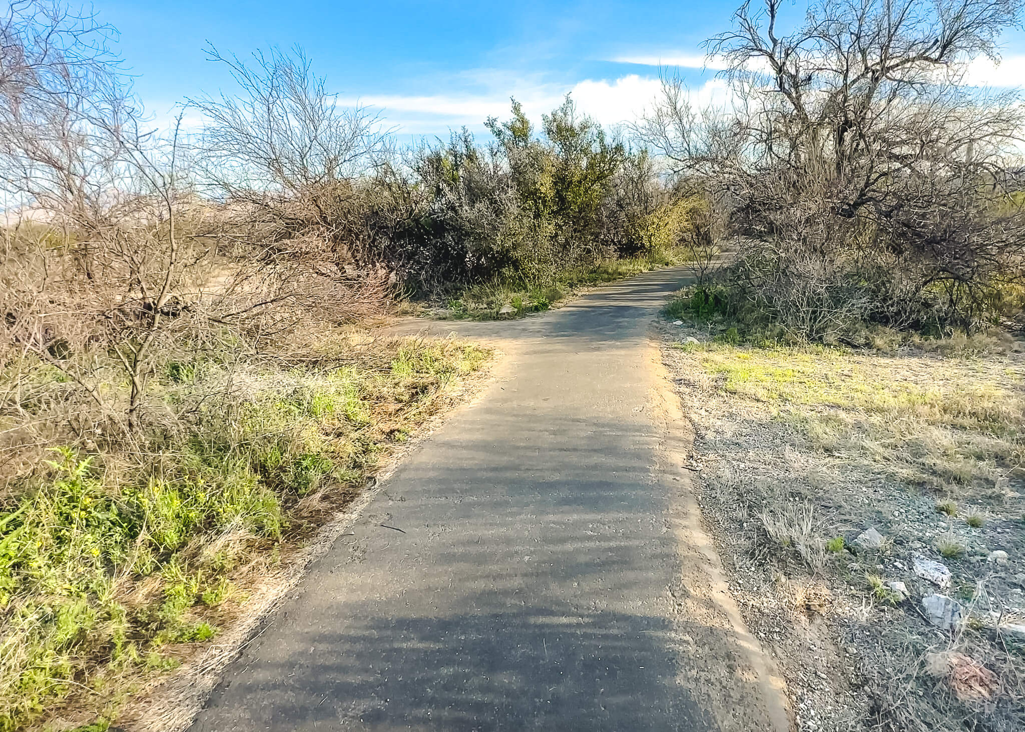 One Day in Saguaro National Park - Rock a Little Travel
